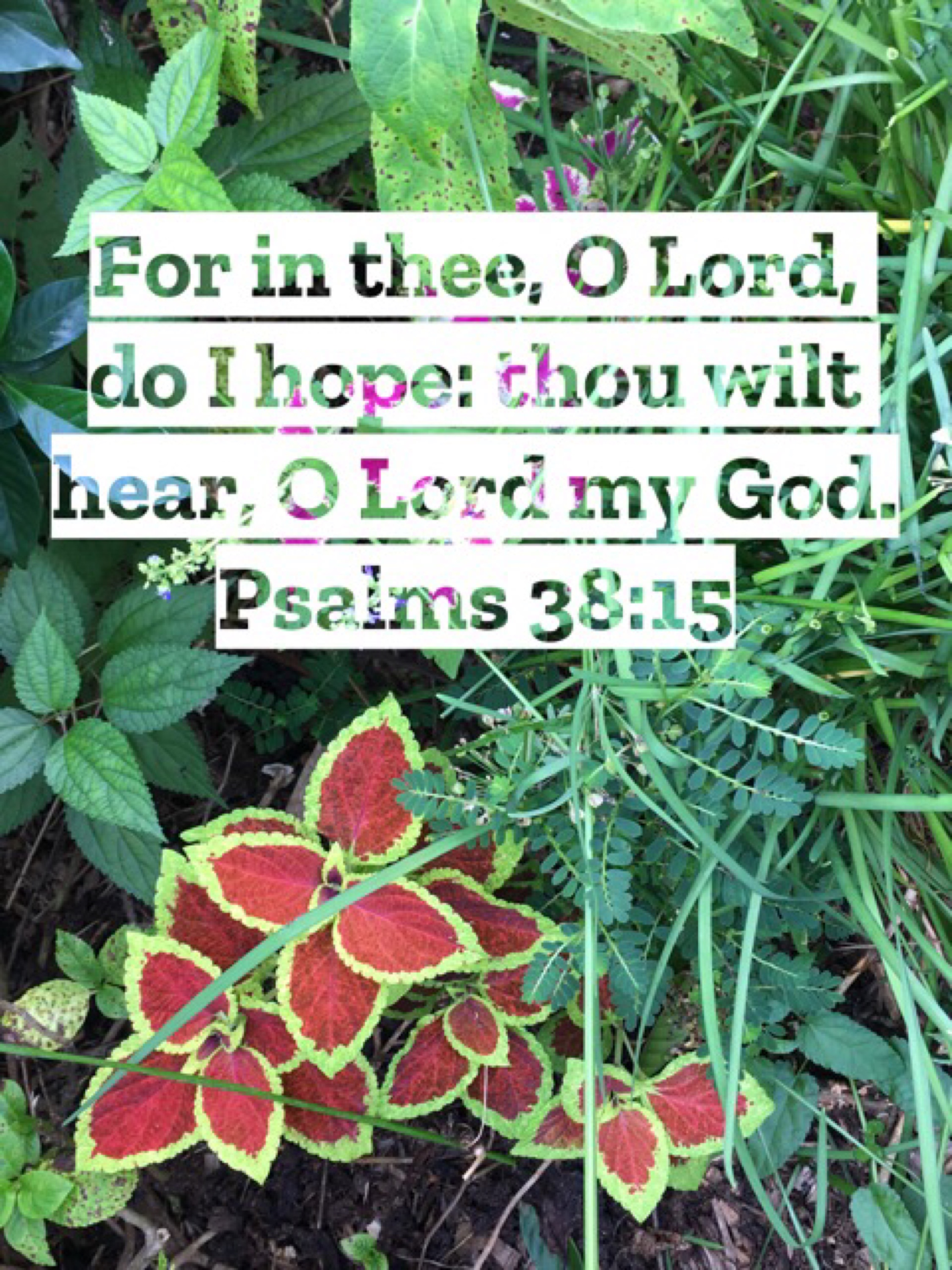 Psalms Chapter 38 | You Are Not the Only One