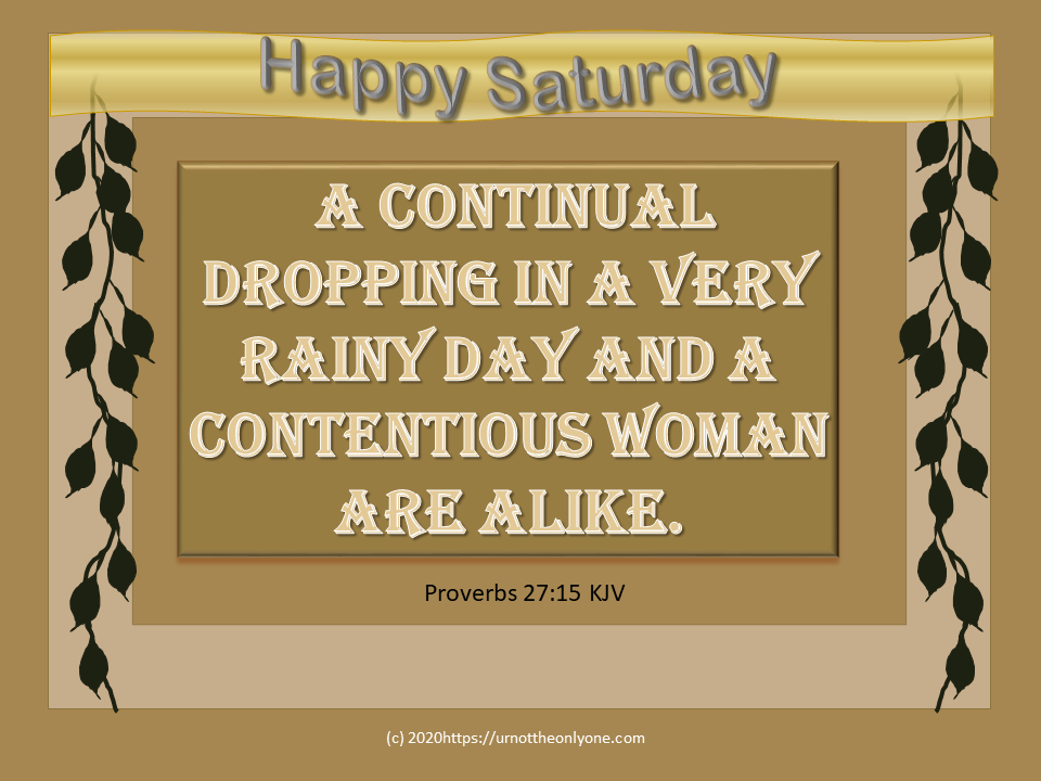 Proverbs Chapter 27 | You Are Not the Only One