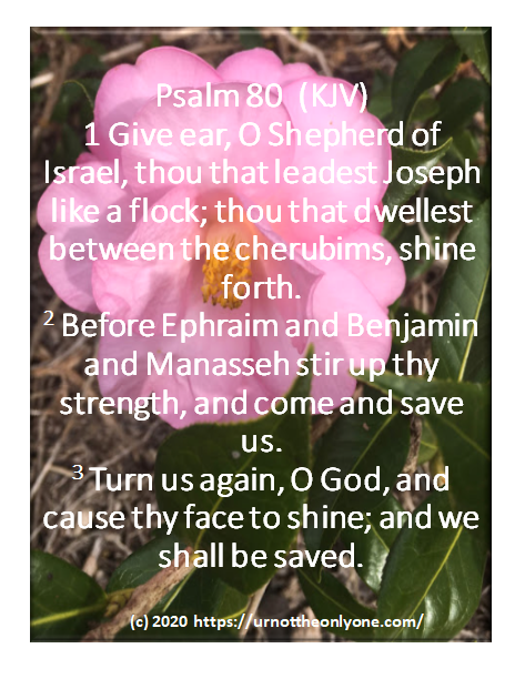 Psalm Chapter 80 (KJV) | You Are Not the Only One