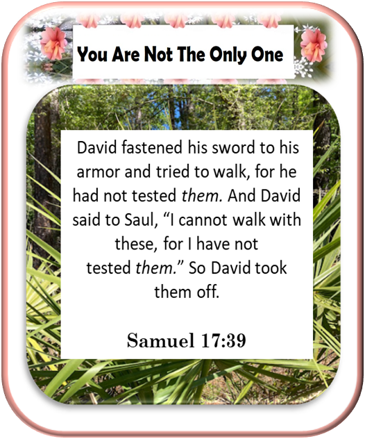 God’s Armor Dr. David Jeremiah | You Are Not the Only One