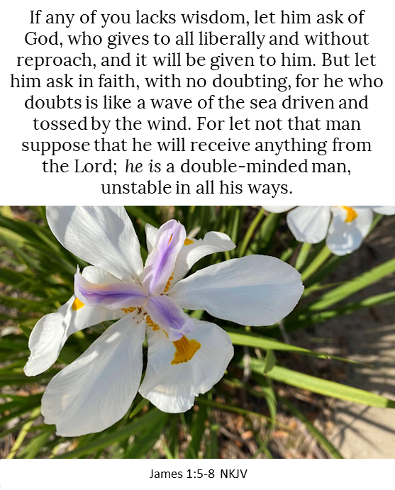 The Mind Matters by David Jeremiah | You Are Not the Only One